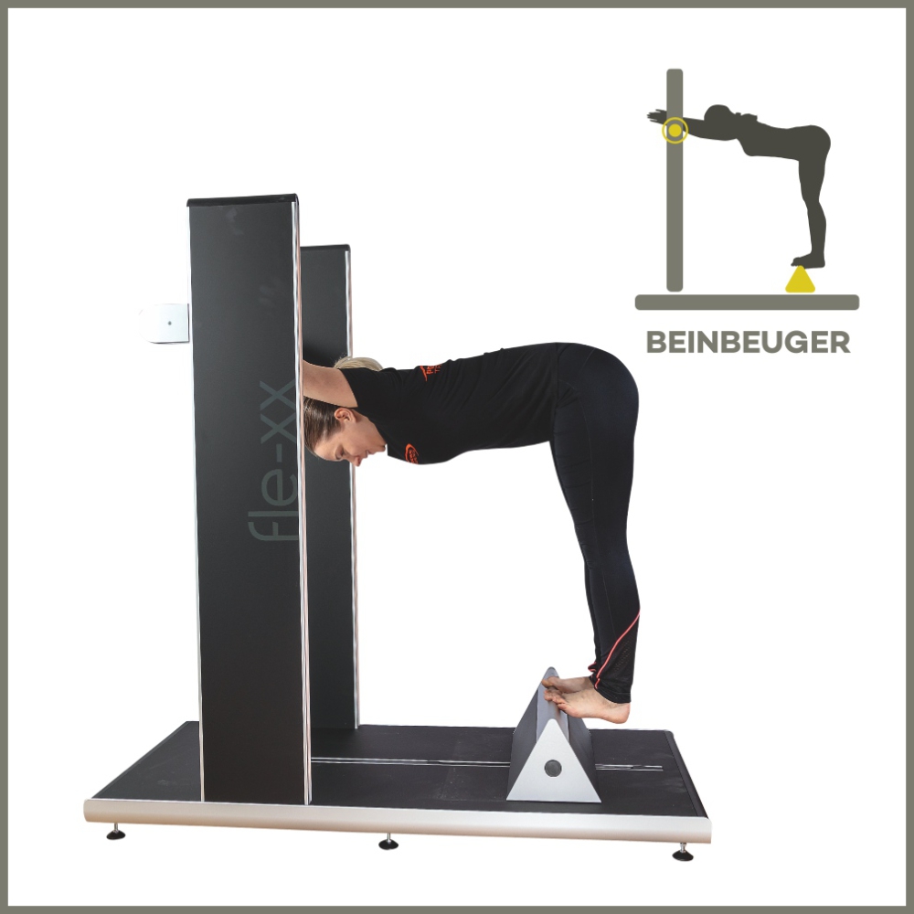 im Fitnessstudio Bremen Ost / Horn: Fitness Park: efle-xx-Zirkel